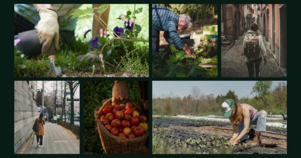 How to Create a Healthy Lifestyle Plan in 5 Ways Based on Blue Zones ...